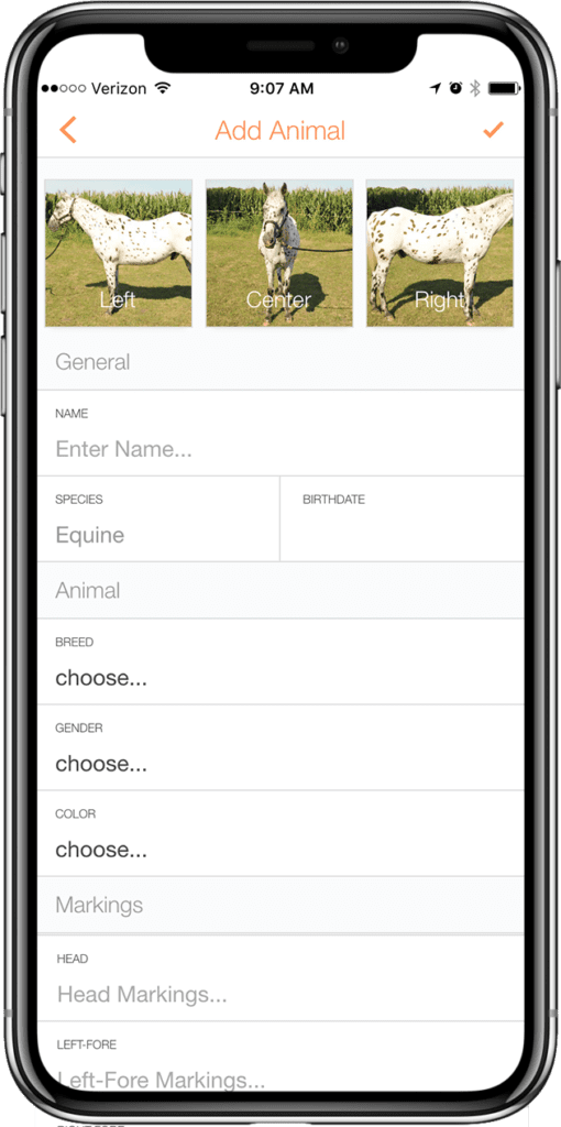 Digital Equine Infectious Anemia (Coggins) Test - GlobalVetLink