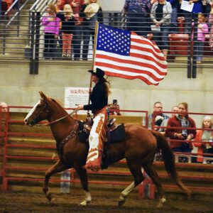 GVL Employee Spotlight: Kaeli Sedlak-O'Connor - GlobalVetLink