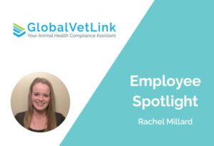 GVL Employee Spotlight: Rachel Millard - GlobalVetLink