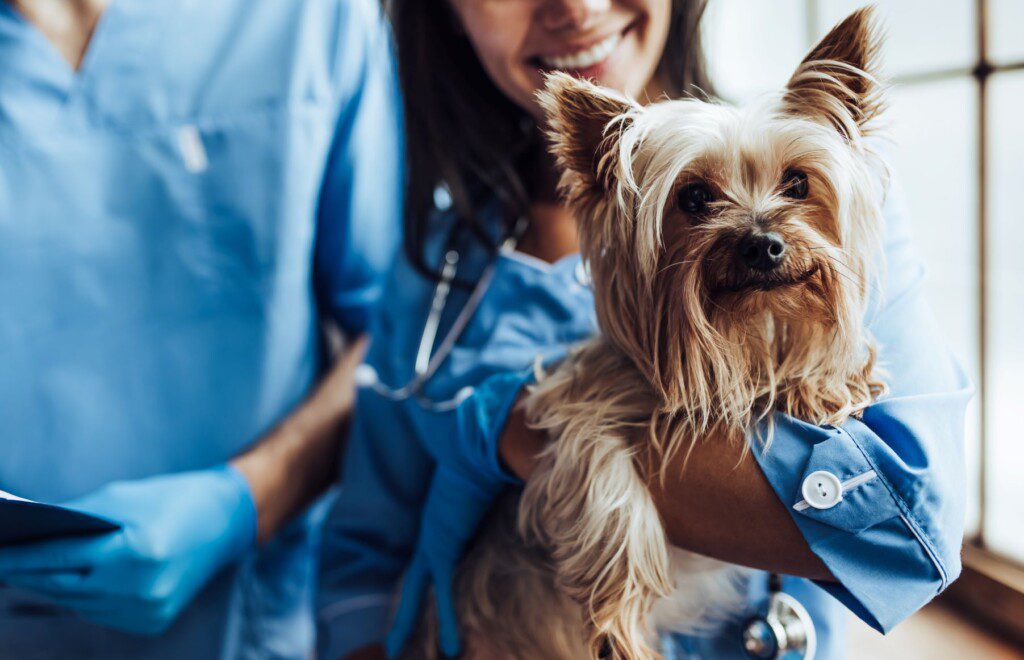 Training Resources for Vetco Total Care | GlobalVetLink