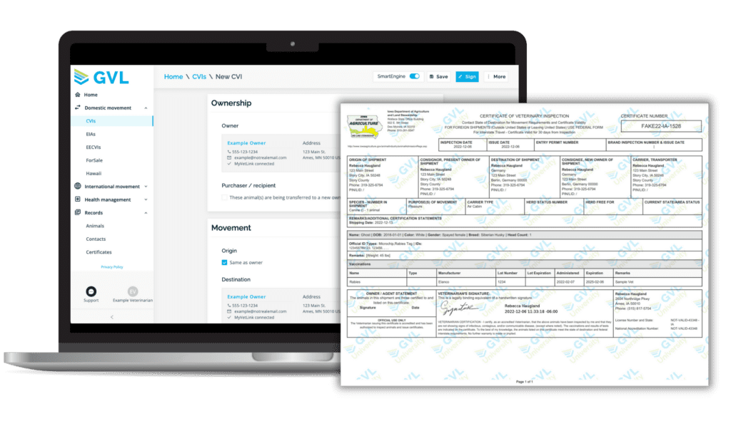 Streamline Your Vet Practice with Digital CVIs | GlobalVetLink