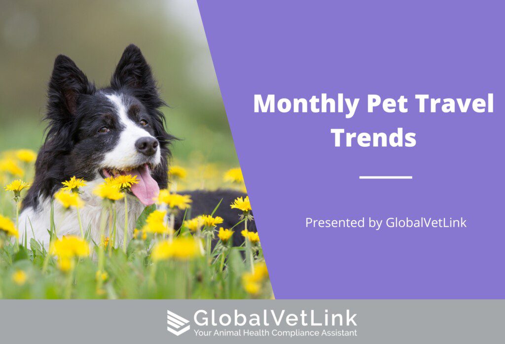 International Health Certificates | GlobalVetLink