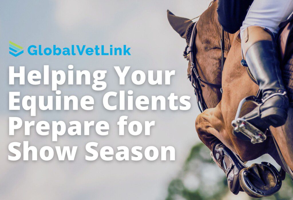 Preparing Equine Clients for Show Season | GlobalVetLink