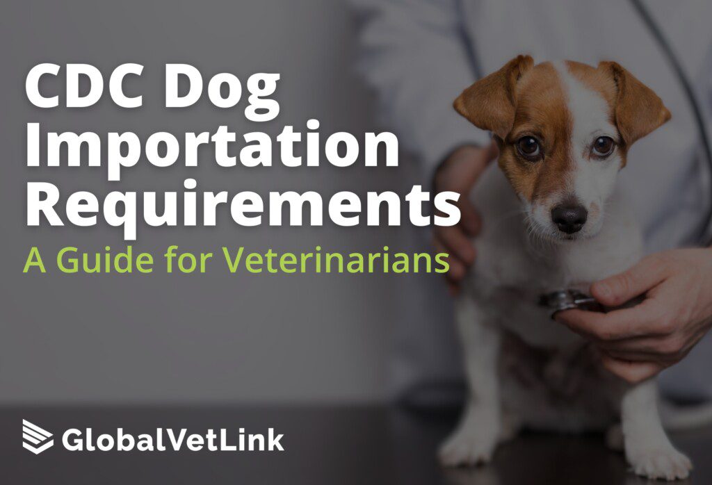 CDC Dog Importation Requirements | GlobalVetLink