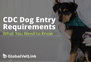 CDC Dog Entry Requirements | GlobalVetLink