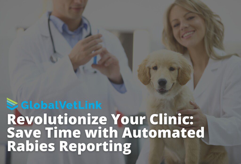 International Health Certificates | GlobalVetLink