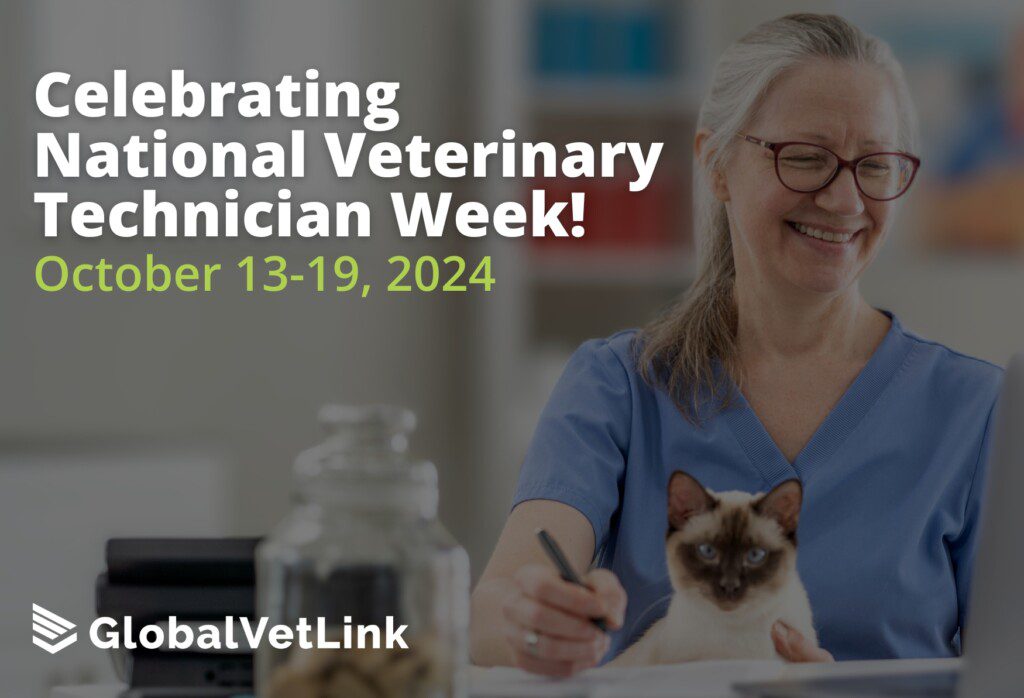 Celebrating National Veterinary Technician Week | GlobalVetLink