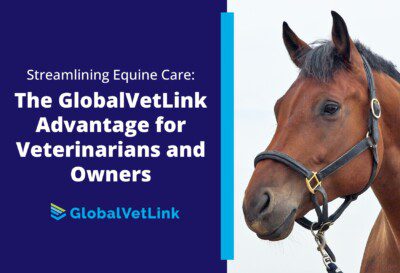 International Health Certificates | GlobalVetLink