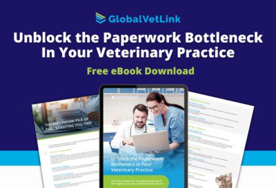 Paperwork Bottleneck In Your Veterinary Practice | GlobalVetLink