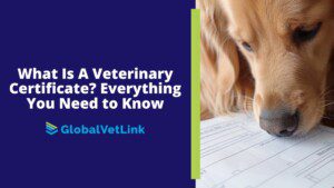 Certificate of Veterinary Inspection (CVI) | GlobalVetLimk