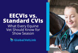 EECVIs vs. Standard CVIs | GlobalVetLink