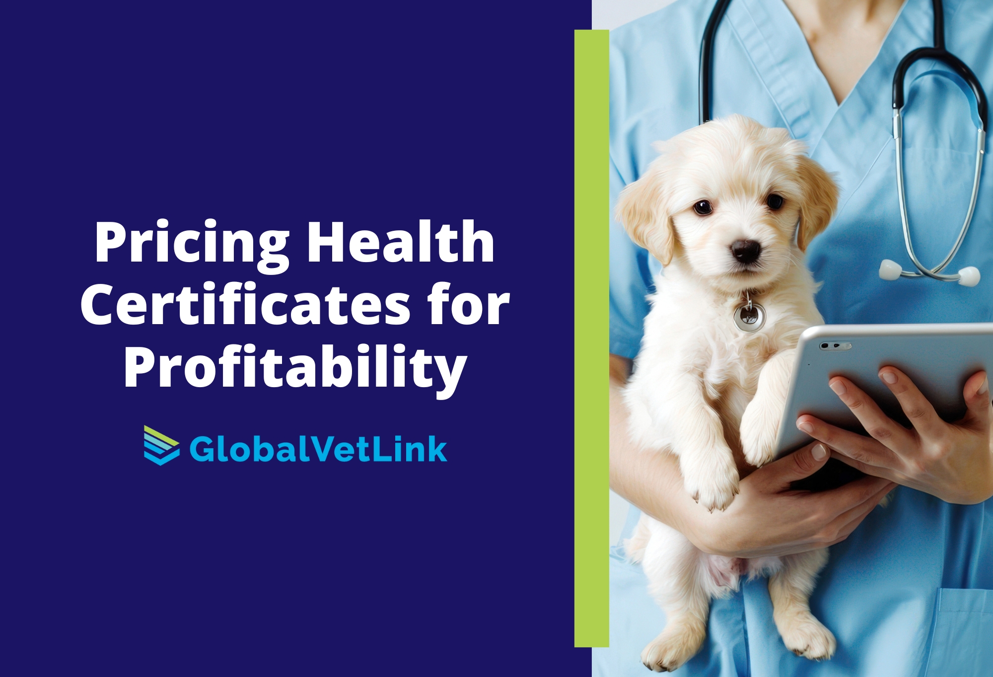 EECVIs - Extended Equine Health Certificates - GlobalVetLink