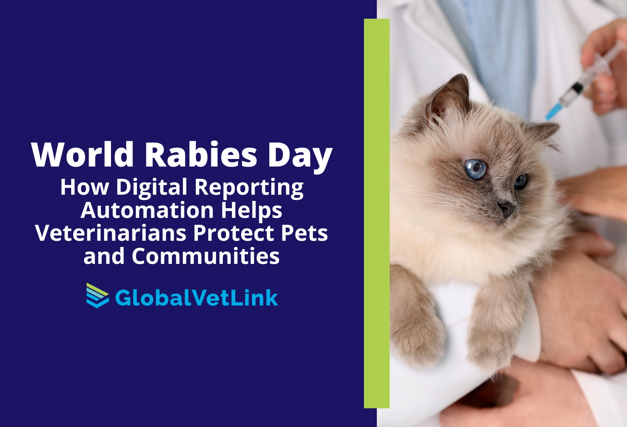 World Rabies Day 2025 | GlobalVetLink