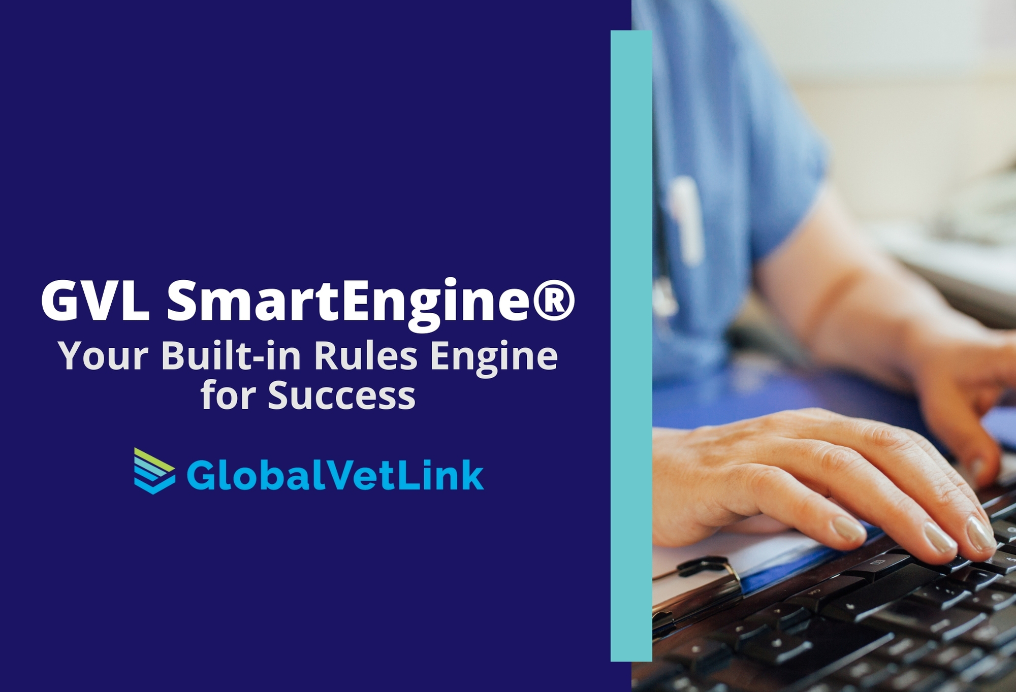 EECVIs - Extended Equine Health Certificates - GlobalVetLink