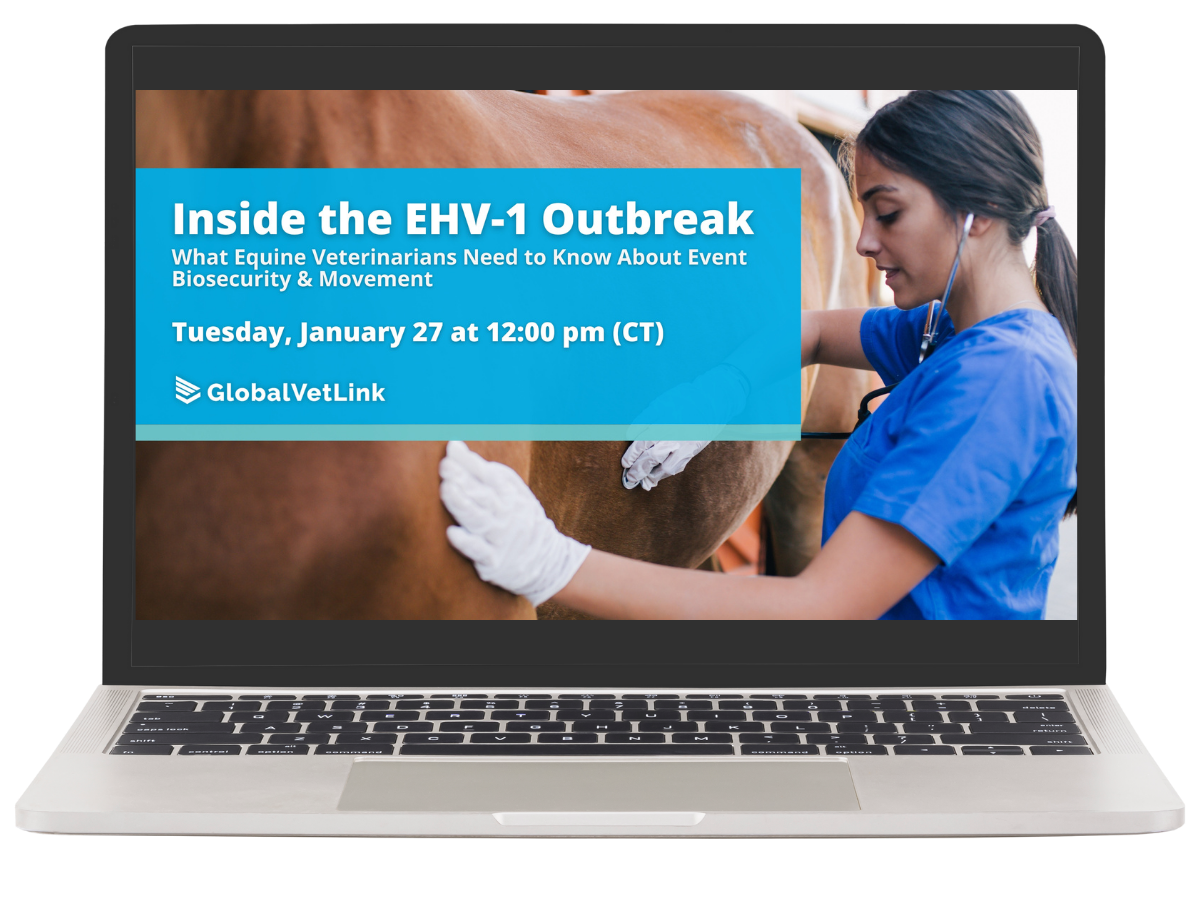 Inside the EHV-1 Outbreak | CE Webinar | GlobalVetLink
